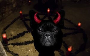 🐶 Nombres para Perros Satánicos: 55 Ideas Demoníacas [ Nombres de Perro ]
